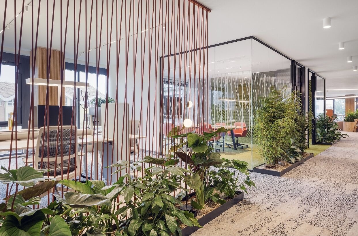 Portfolio - Moremi Space Africa