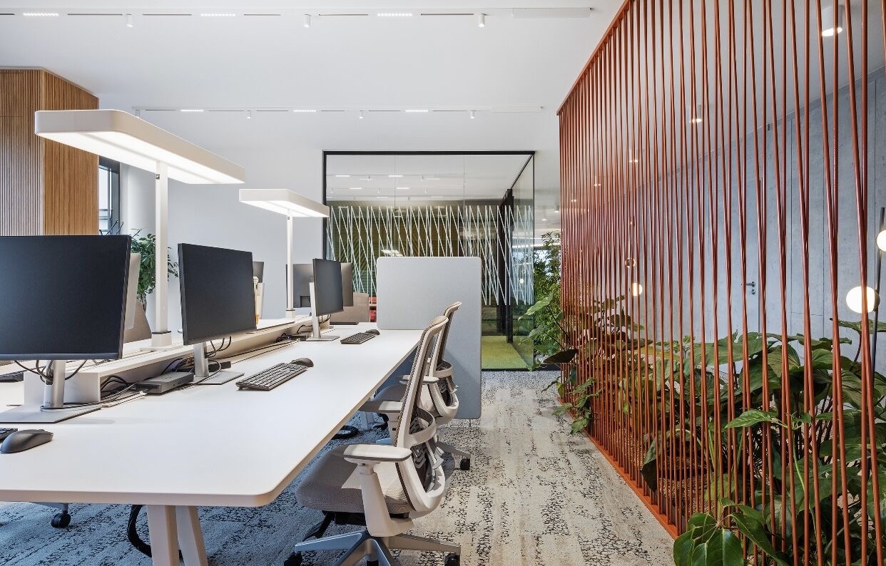 Portfolio - Moremi Space Africa